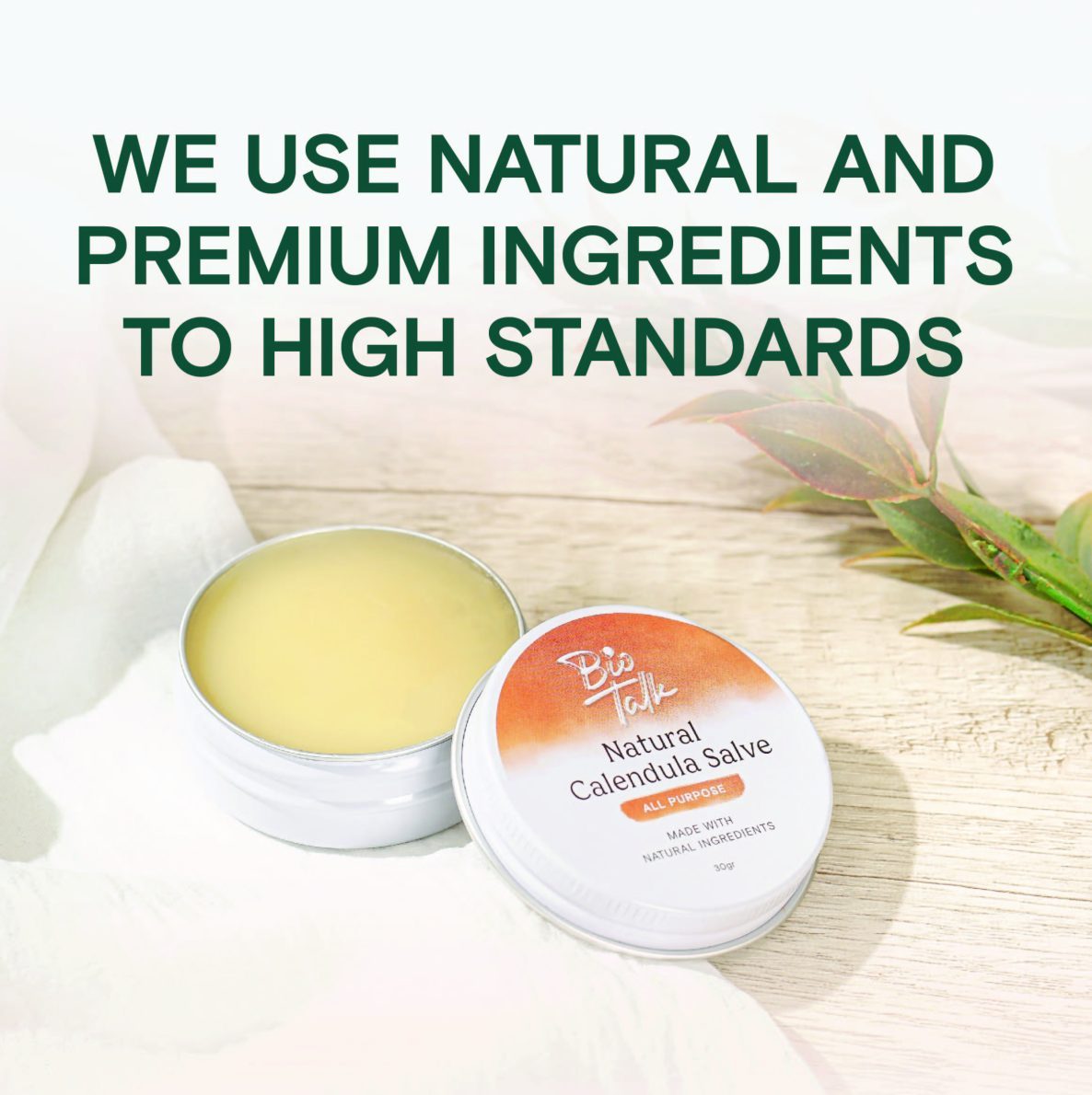 Natural Calendula Salve untuk Eksim & Psoriasis | Biotalk